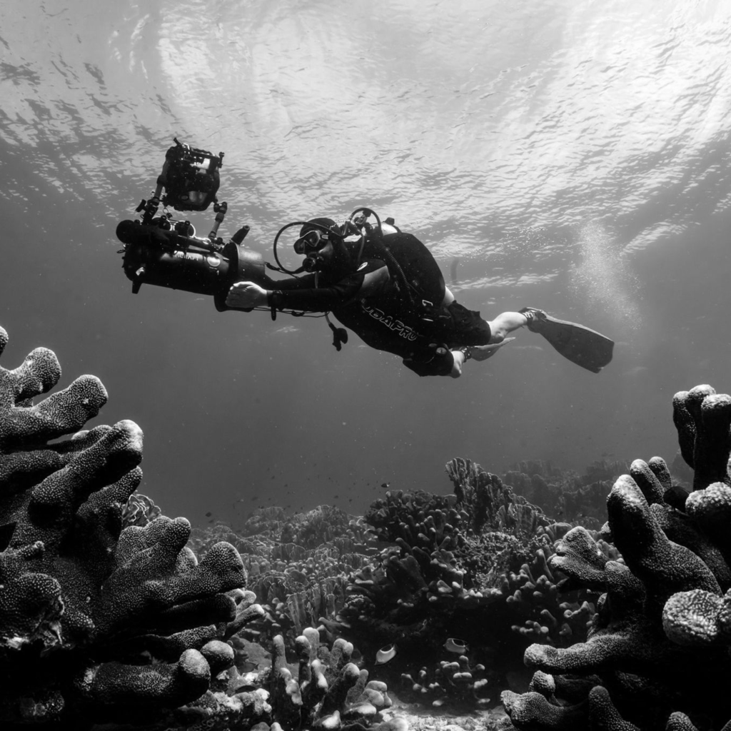 Documentary - Deep Rising